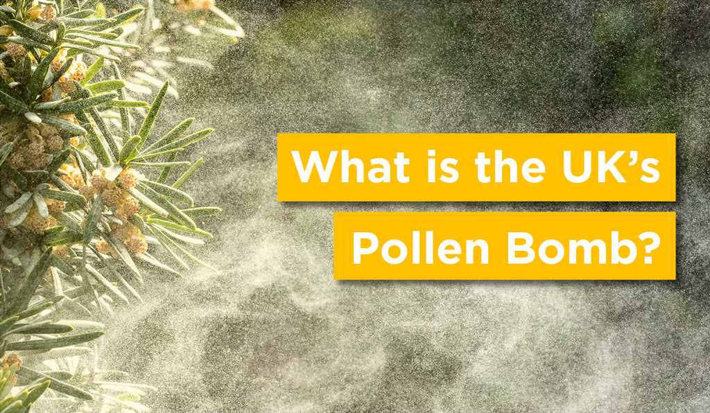 What is the UK's Pollen Bomb - Manuka Doctor